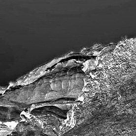 Sydney Boyce :: Behance