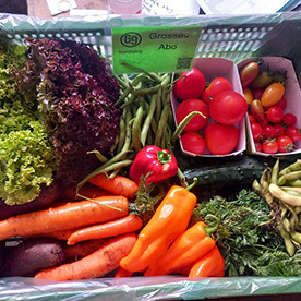 Referenzbilder lassen sich nicht hochladen! - Adobe Product Community ...