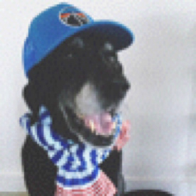 Matthew Carbone - Photographer in New York, NY, USA :: Behance