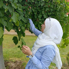 Raghad Kaziz - Motion Graphic Designer in Damascus, Syrian Arab Republic :: Behance