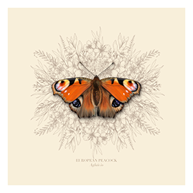 Christina Simon - Artist & Illustrator in France :: Behance