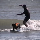 Michael Hewes on Behance