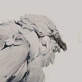 Sweepnet. Ecosystem :: Behance