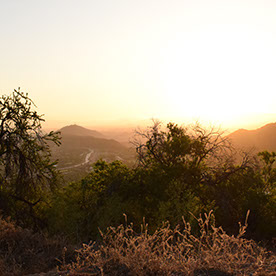 Tan solo un hobby Photo's - photographer in Santiago, Chile :: Behance