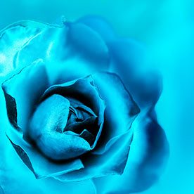 turquoise blue in Japan :: Behance