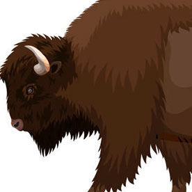 Hudson Graphics - Illustrator/Photoshop Graphics Designer in NY, USA ...