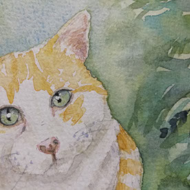 Lucie Jourdan - Dessin et aquarelle in Fontenay-le-Comte, France :: Behance