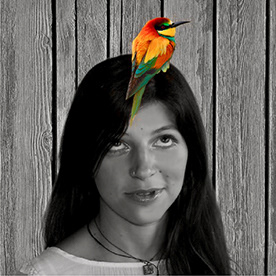 Paula Musitelli on Behance