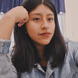 María Isabel Mamani Chipana - Diseñadora Gráfica - Estudiante de ...