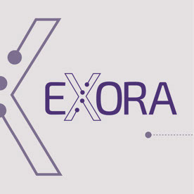 Exora | Diseño y Marketing Digital - Diseño gráfico, Social Media Content, Trafficker Digital ...