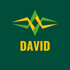 David Brandom - website designer (Wordpress, Wix, Landing page, Figma ...