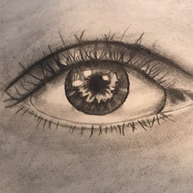Matthew Riley in USA :: Behance