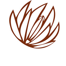 Art Spice on Behance