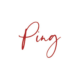 Hielabs x PING :: Behance