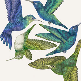 Emily Carter - Illustrator & Creative Director in London, United ...