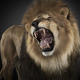 Solved: Re: Red box with statistics appears on iOS, how to... - Adobe ...