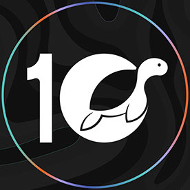 10turtle agency - Creative Director | Branding Expert | Digital Design Specialist | Creative ...