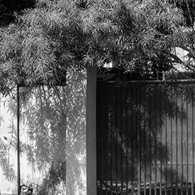 Malifa Nowshin Nova :: Behance