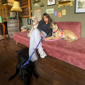 Idea Helix :: Behance