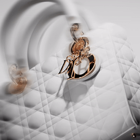 Lady DIOR :: Behance