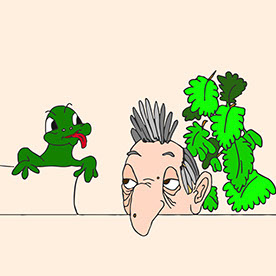 Error en la generación de imágenes - Adobe Product Community - 15527402