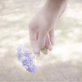 Aviva McCarthy - Multimedia Design Student in South Africa :: Behance