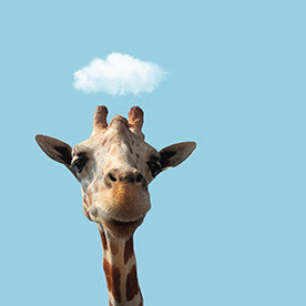 Rafael Burato - UI/UX Designer + Photographer in Luxembourg, Luxembourg :: Behance