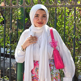 Al-Mosky Urban Redevelopment :: Behance