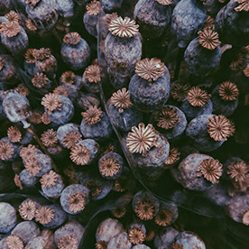 SNACK. 2D animation. Advertising :: Behance