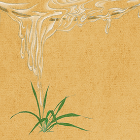 XI FANG - Freelance in London, United Kingdom :: Behance