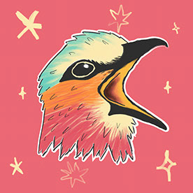 Tyla Lottering - Graphic Designer & Illustrator in Cape Town, South ...