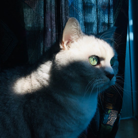 Re: Photoshop 2025版本 不能使用旧版扩展 - Adobe Product Community - 14938888