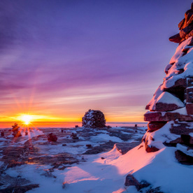 Ryan Devine In Usa Behance