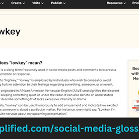 Lowkey slang meaning :: Behance